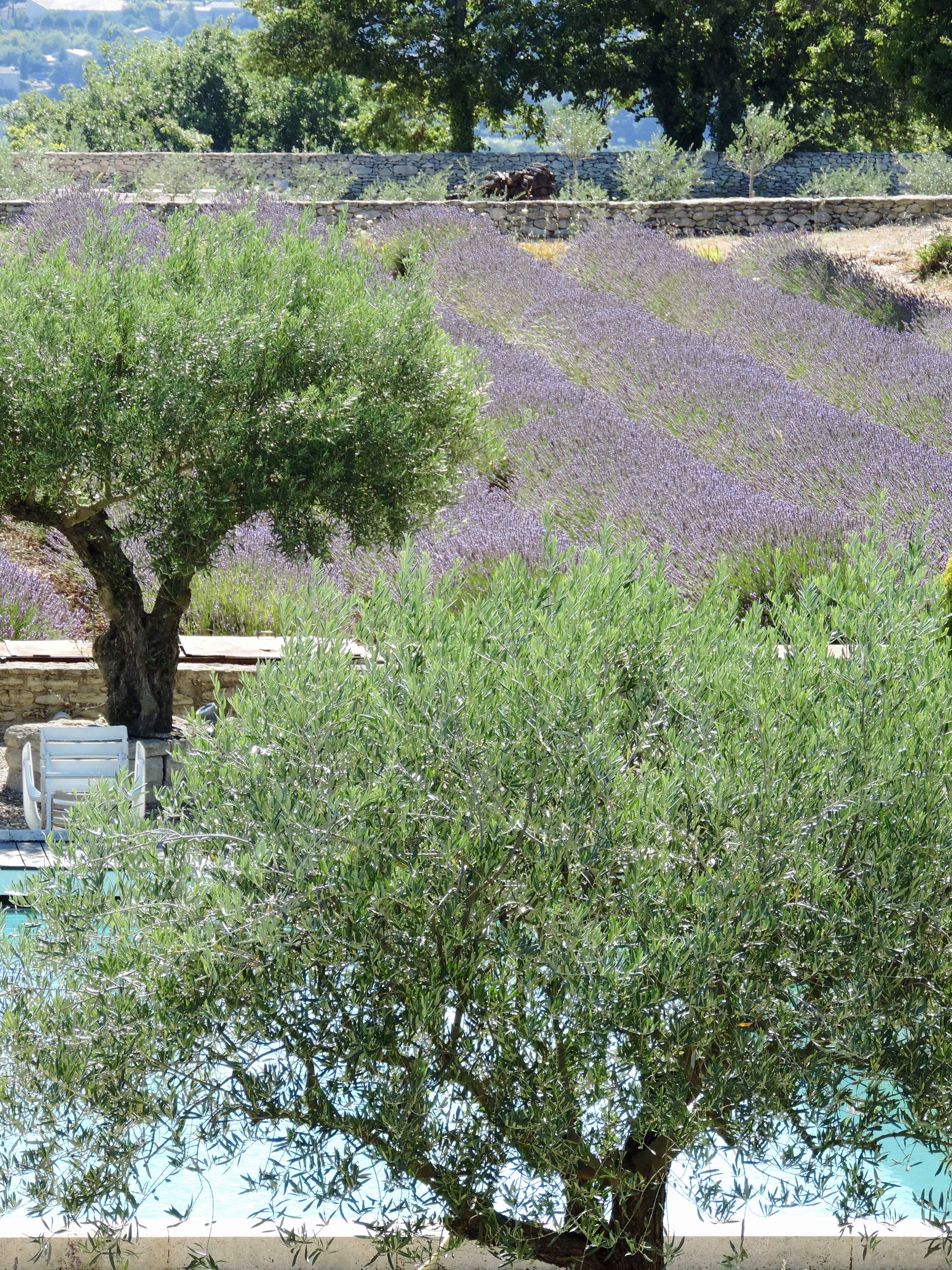 A week in Provence – Microtripping
