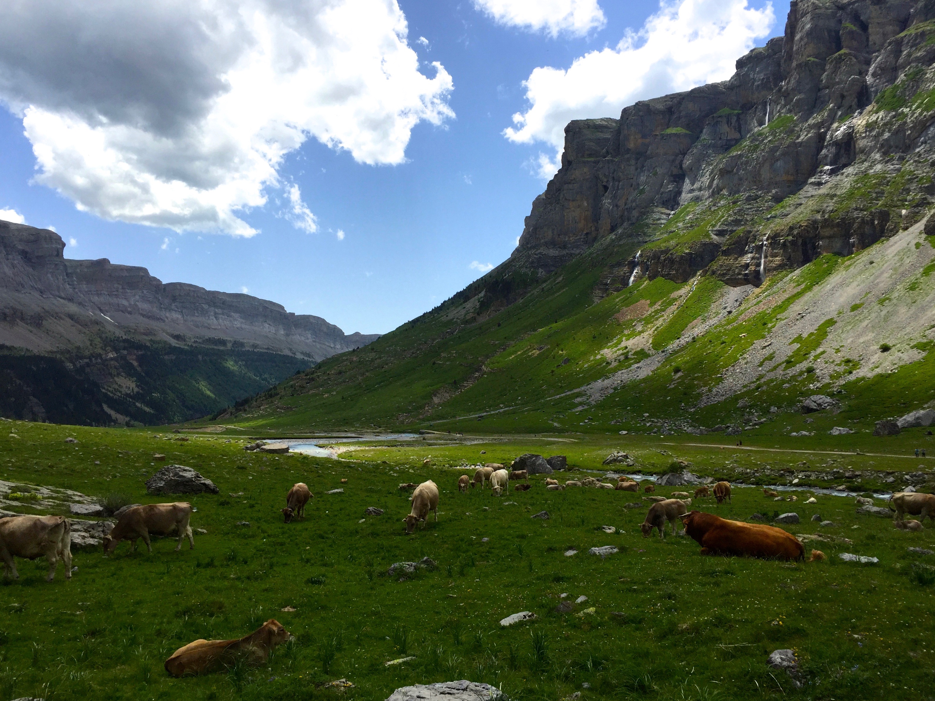 IMG_2690 – Microtripping