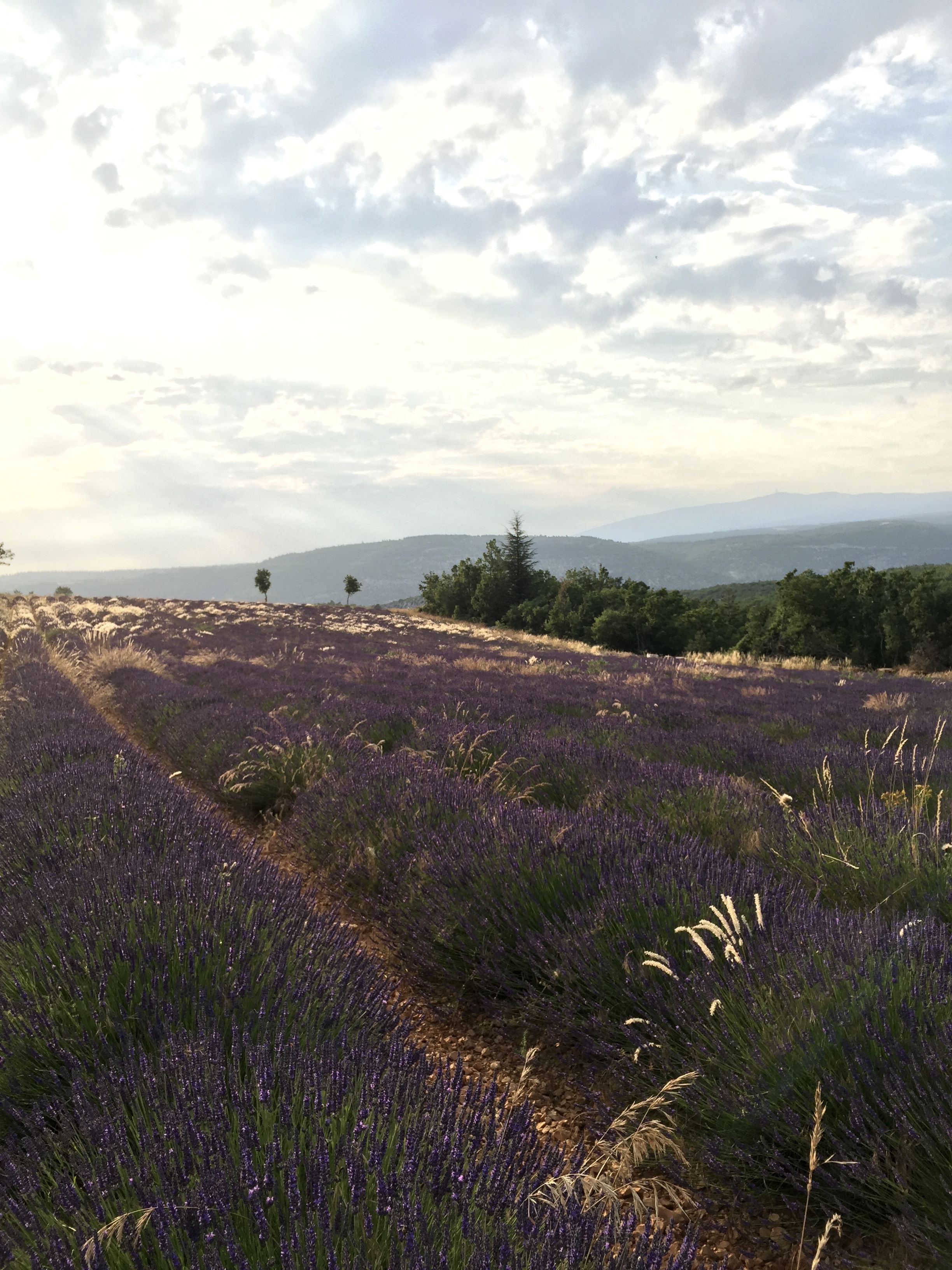 IMG_3108 – Microtripping